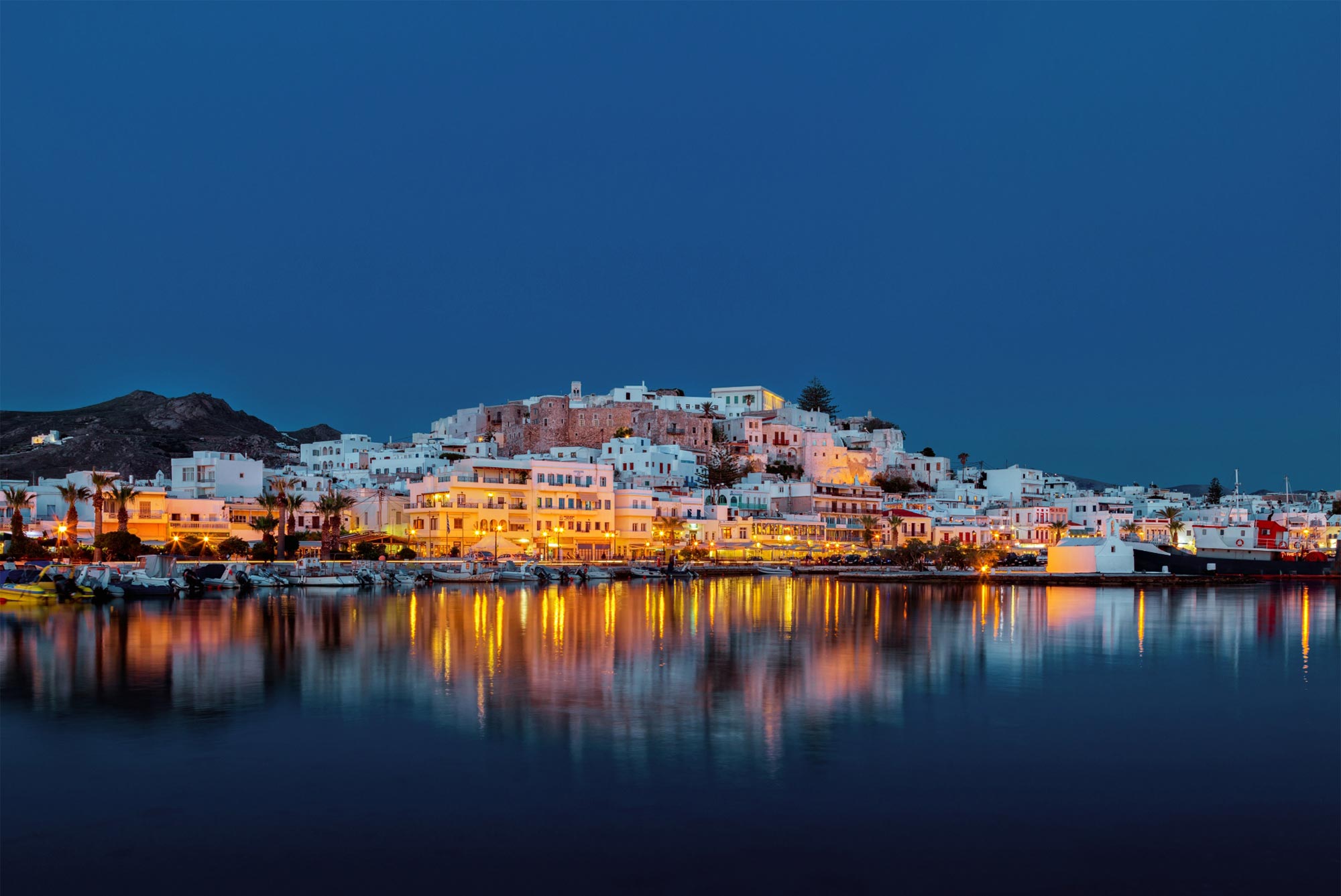 Contact - Apollon Tours - Naxos